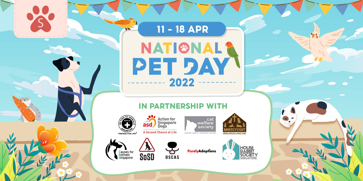 Pledge & Protect to celebrate your Furever Friends this National Pet ...