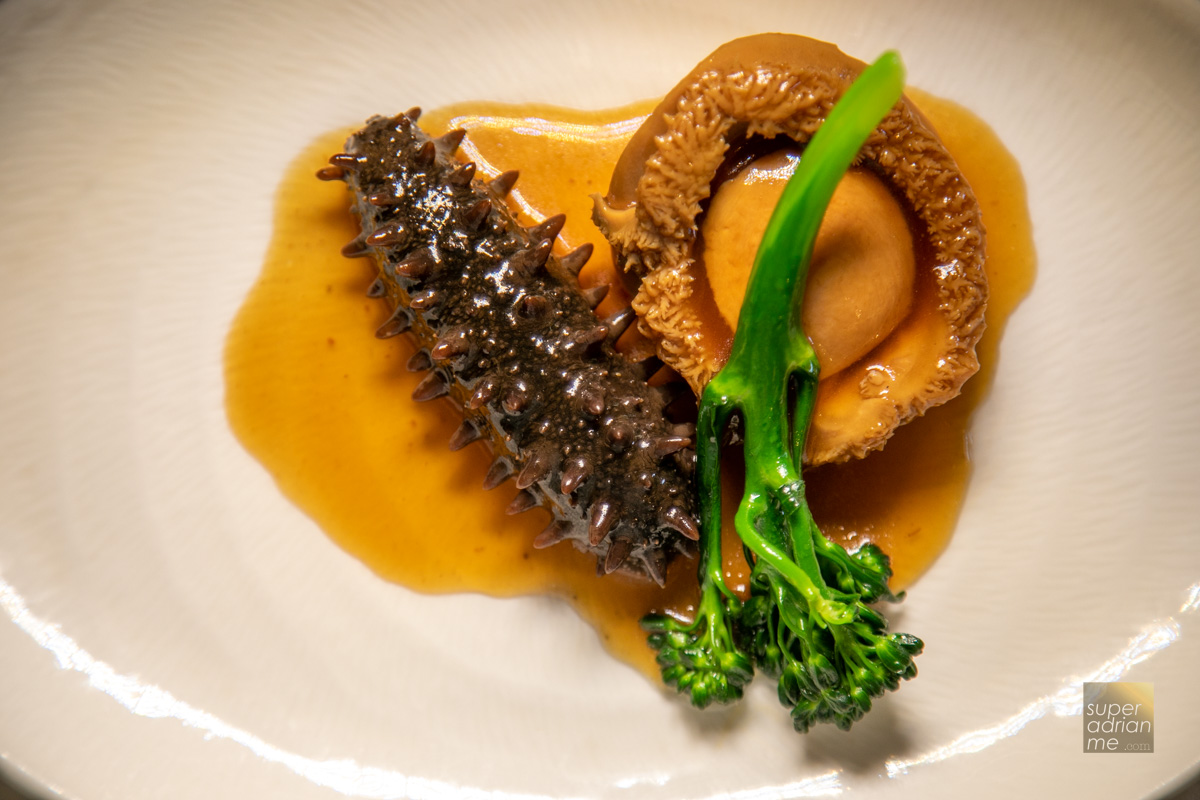 Sea Cucumbers can deter Diabetes – University of South Australia ...