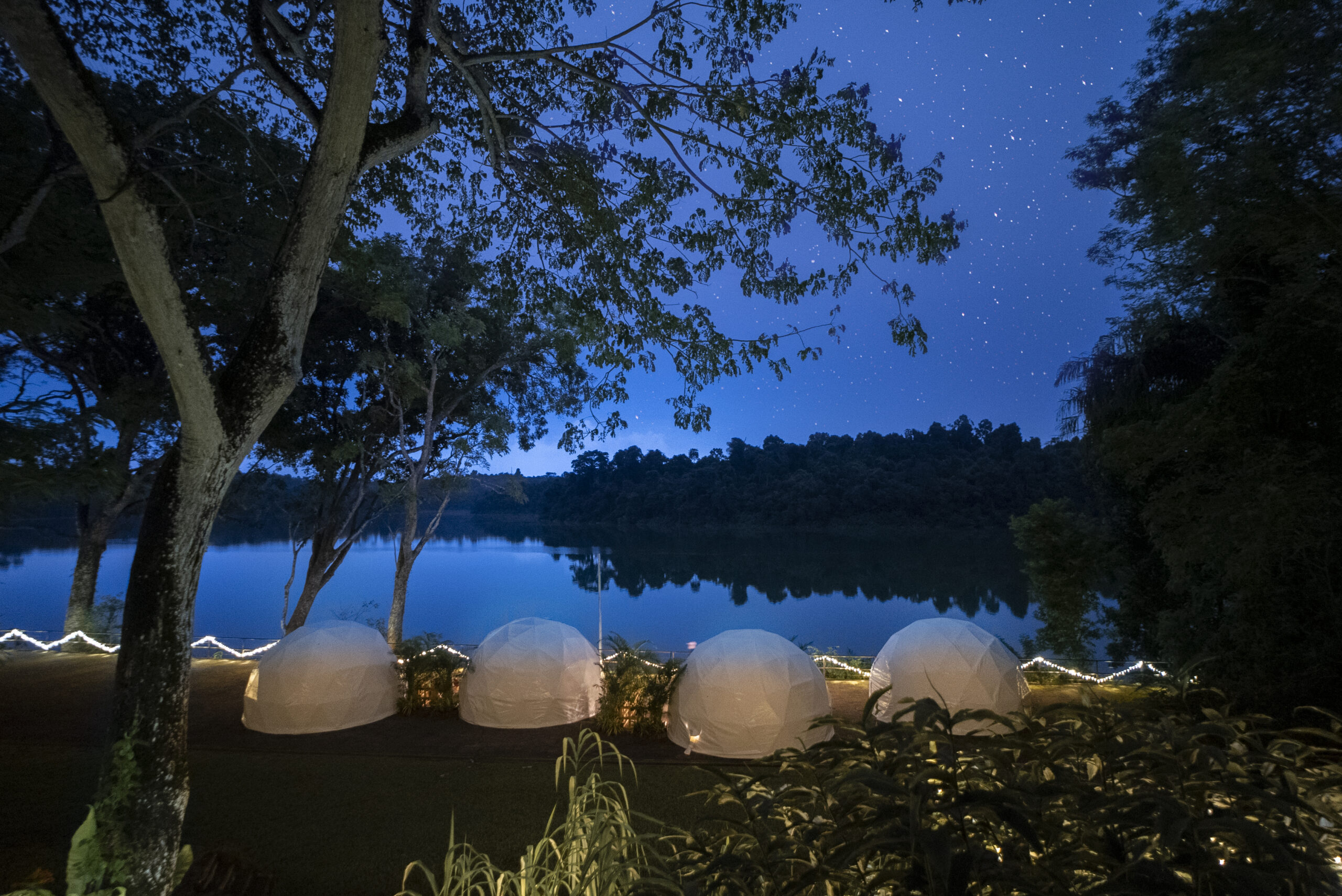 Singapore-Zoo-Glamping-Tent-exterior-night-Photo-Credit_-Mandai ...