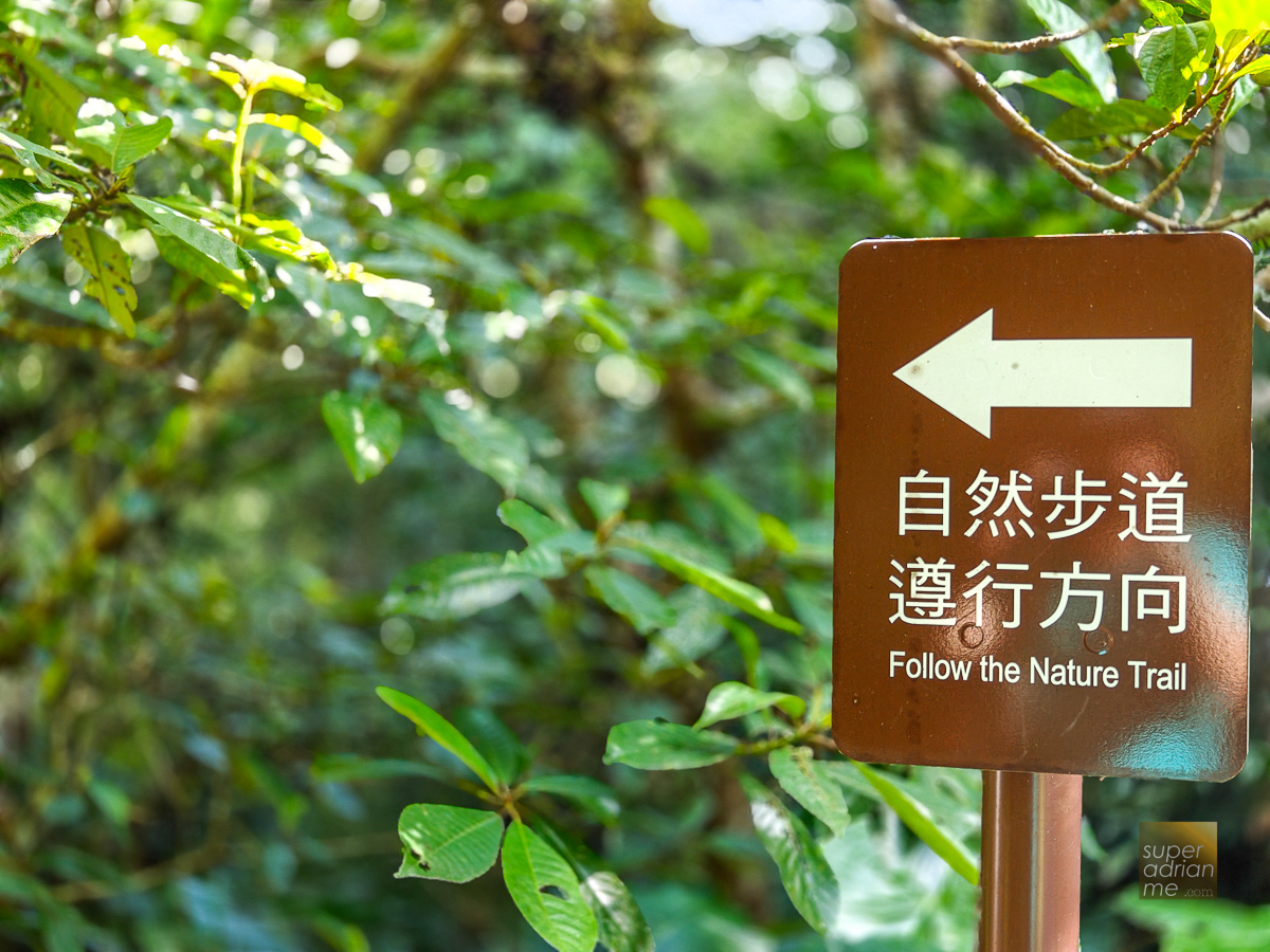 Wellspring by Silks – Linmei Shipan Trail Trek – July 2023 ...