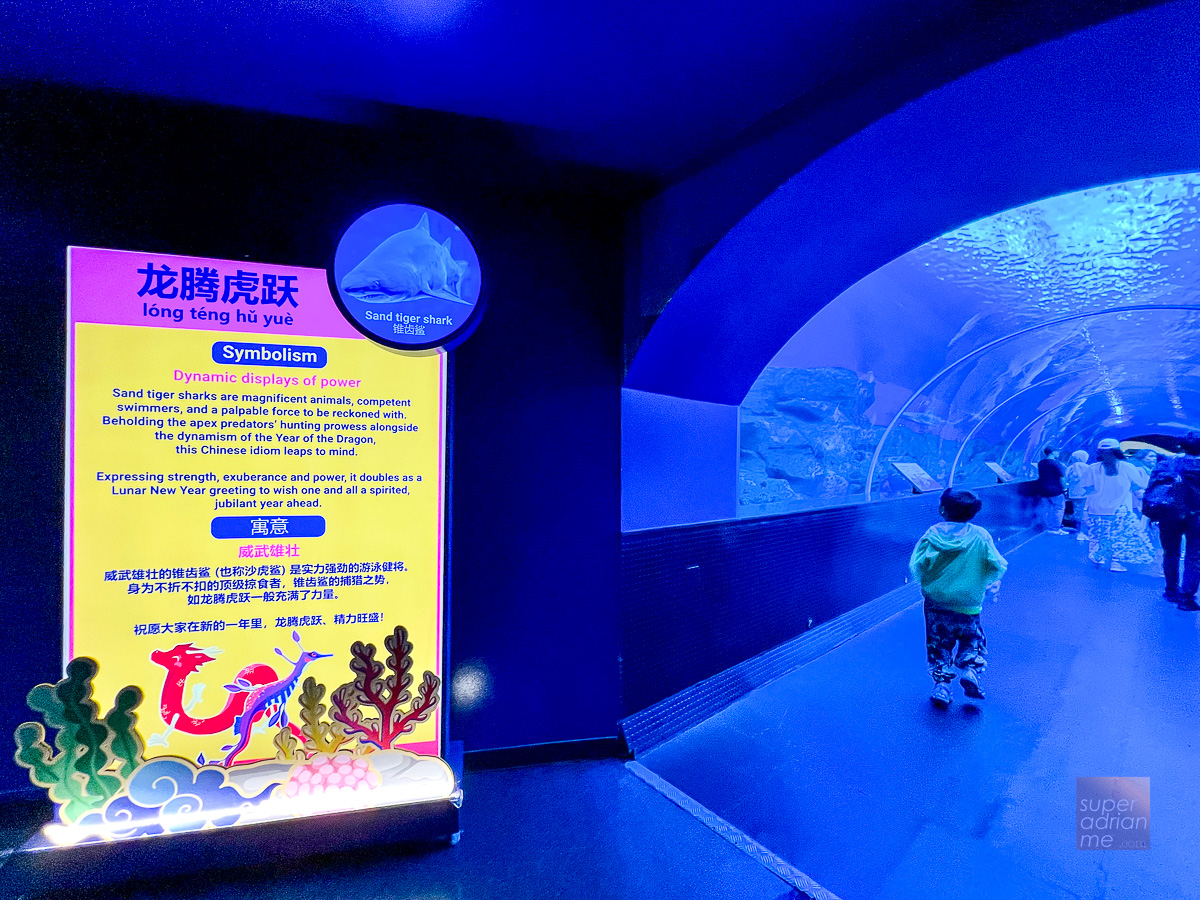 Catch the underwater dragon dance and the world of Kung Fu Panda ...