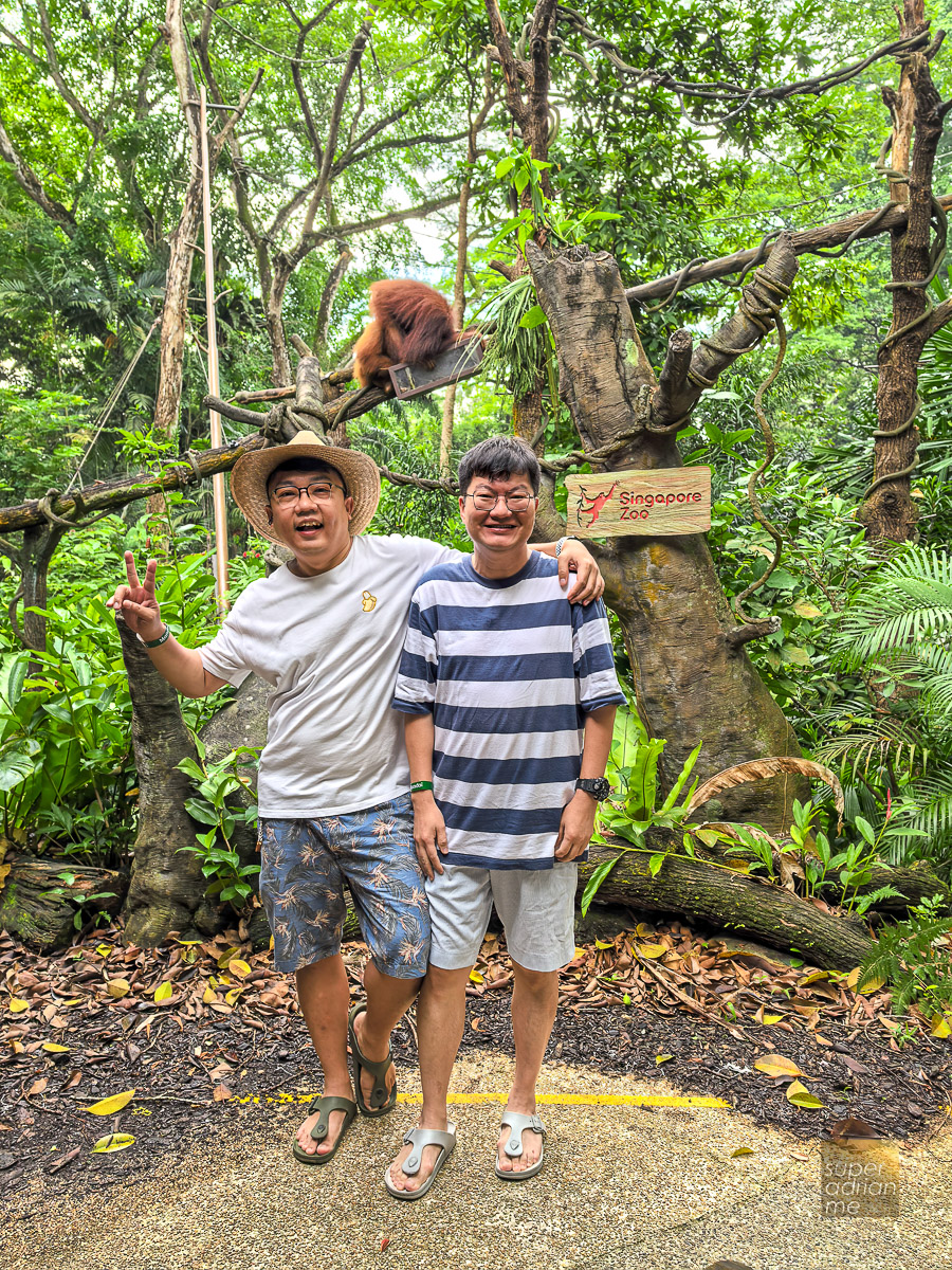 Singapore Zoo Introduces Upgraded Breakfast in the Wild with African ...
