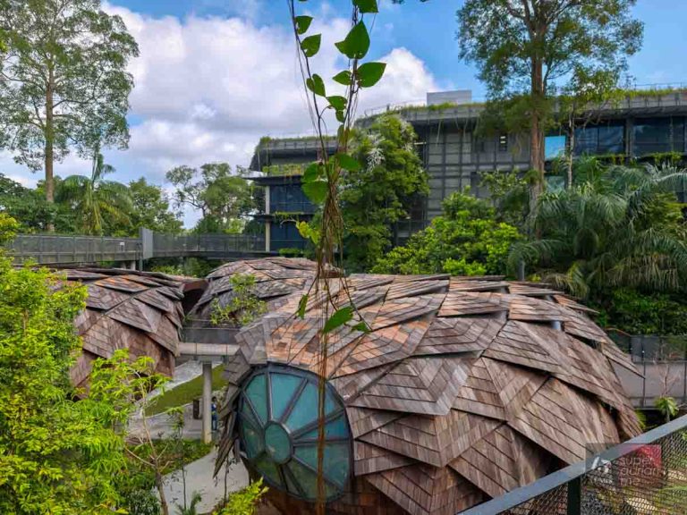 Banyan Tree Spa at Mandai Rainforest Resort by Banyan Tree ...