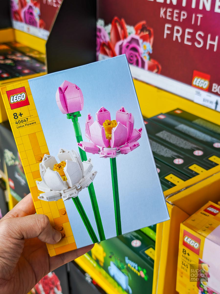 LEGO x Valentines Day at Raffles City February 2026 -130657 ...